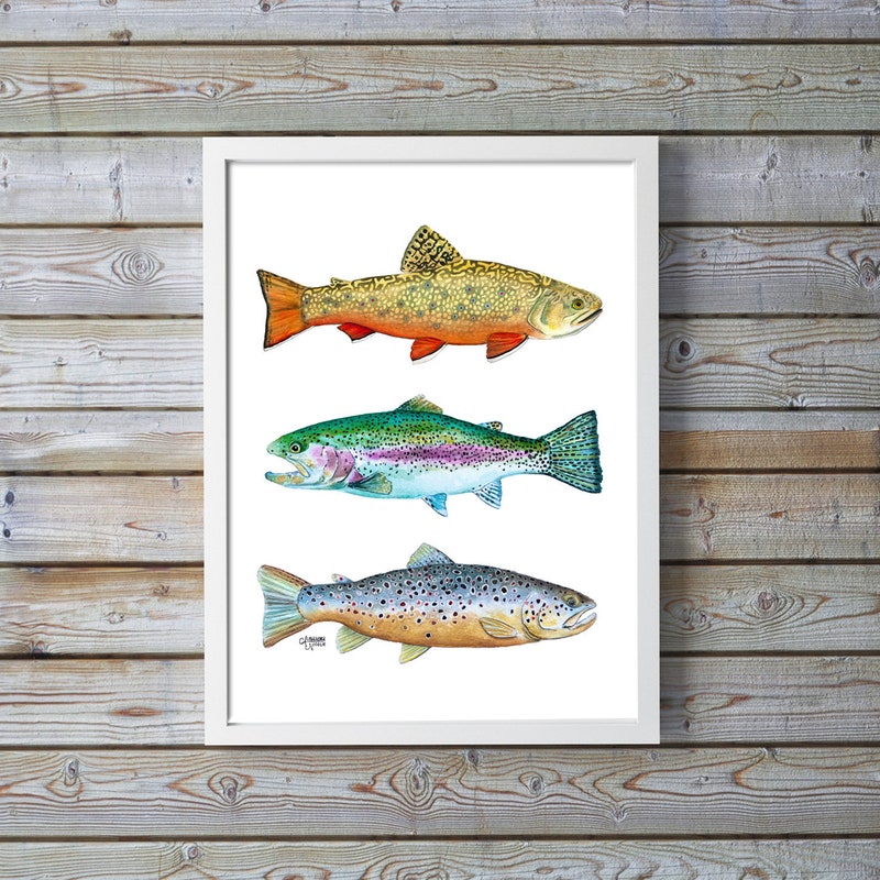 Trout Print - Etsy