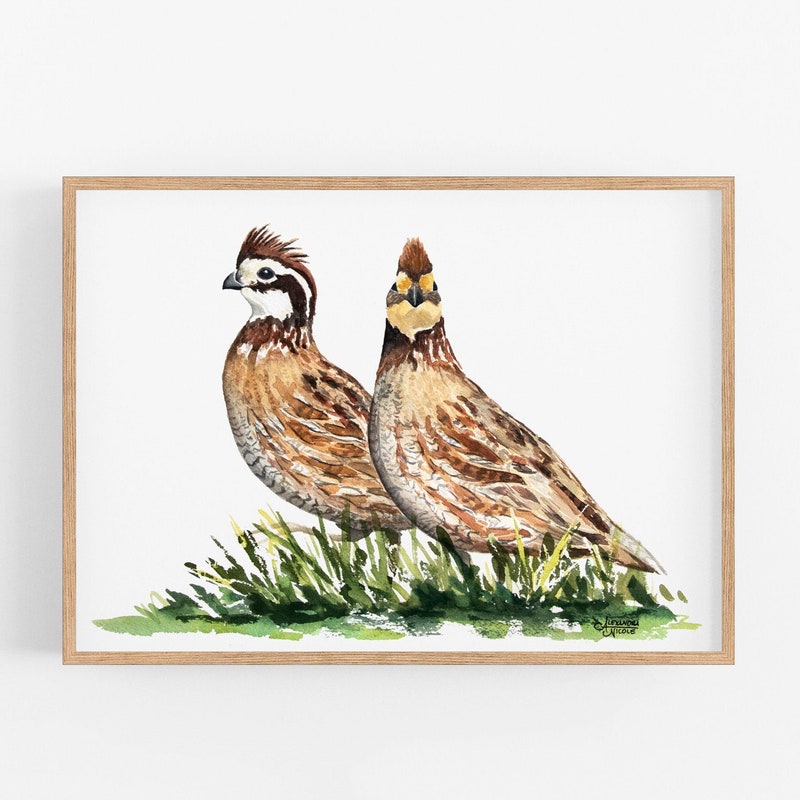 Quail Art - Etsy