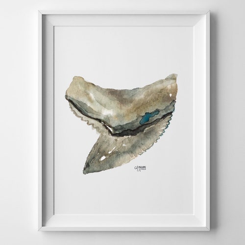 Bull Shark Tooth Watercolor Art Print No. 6 Minimalist Beach | Etsy