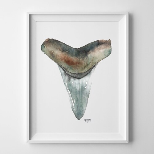 Bull Shark Tooth Watercolor Art Print No. 6 Minimalist Beach | Etsy
