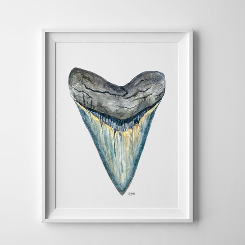 Bull Shark Tooth Watercolor Art Print No. 6 Minimalist Beach | Etsy