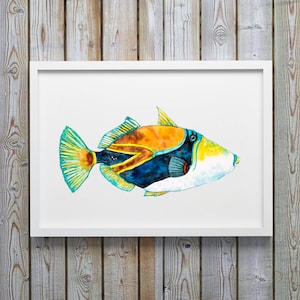 Trigger Fish Art Print Hawaiian Fish or Tropical Decor Aka - Etsy