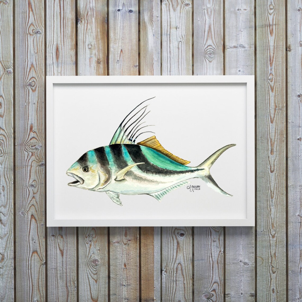 Rooster Fish Watercolor Art Print Fish Wall Decor Fish - Etsy