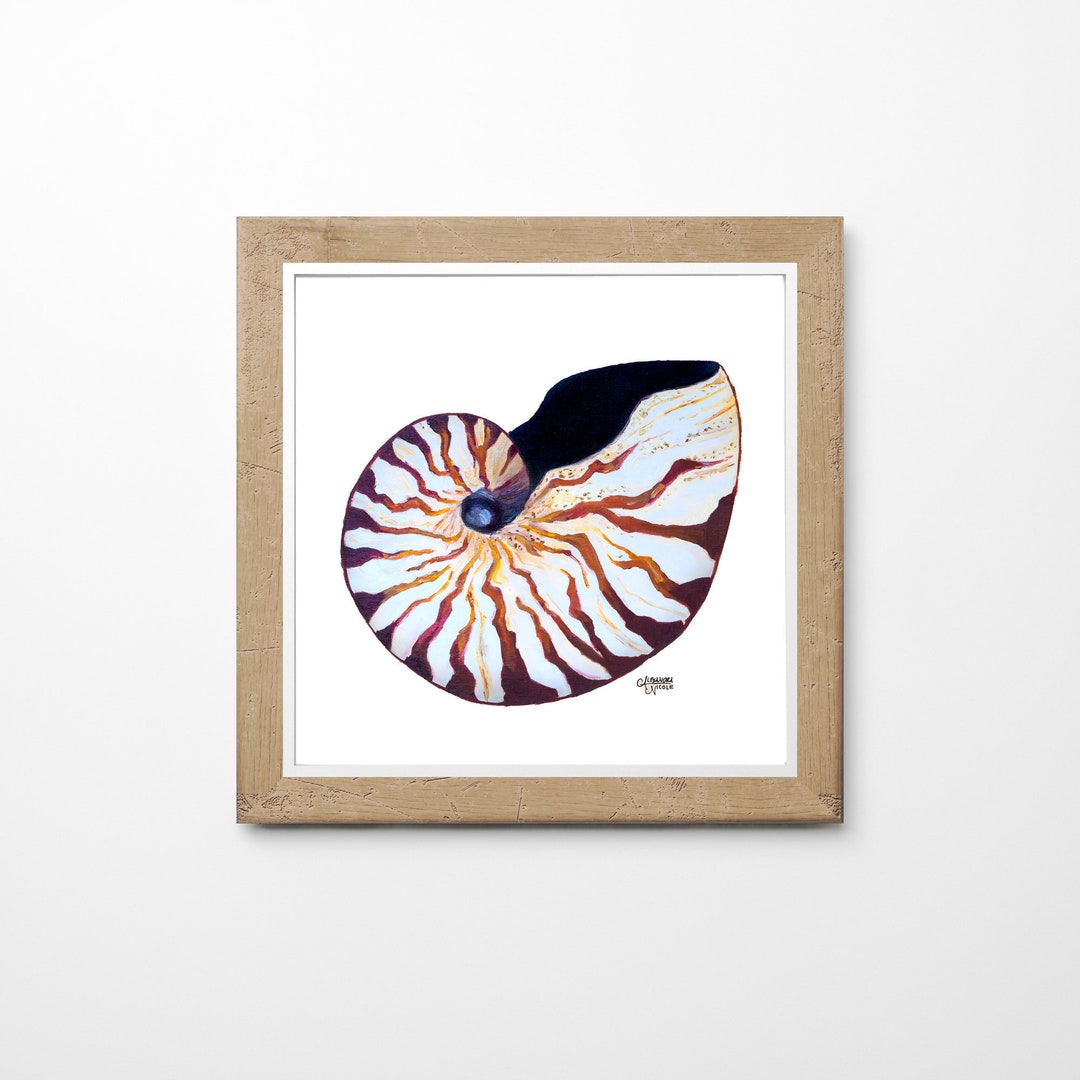 Nautilus Shell Print, Coastal Wall Art, Nautilus Painting, Sea Shell ...
