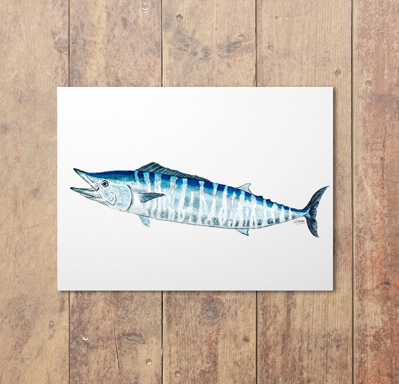 Wahoo Watercolor Art Print Fish Wall Decor Fish Print - Etsy