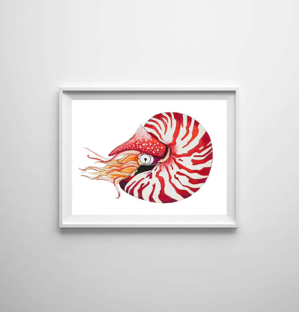 Nautilus Shell Print Coastal Wall Art Sea Shell Art Beach - Etsy