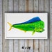 Mahi Mahi Watercolor Art Print, Fish Decor, Coastal Art, Fish Print - Etsy