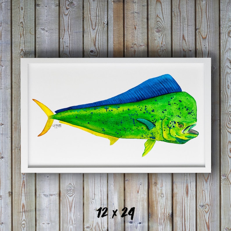 Mahi Mahi Watercolor Art Print Fish Decor Coastal Art Fish | Etsy