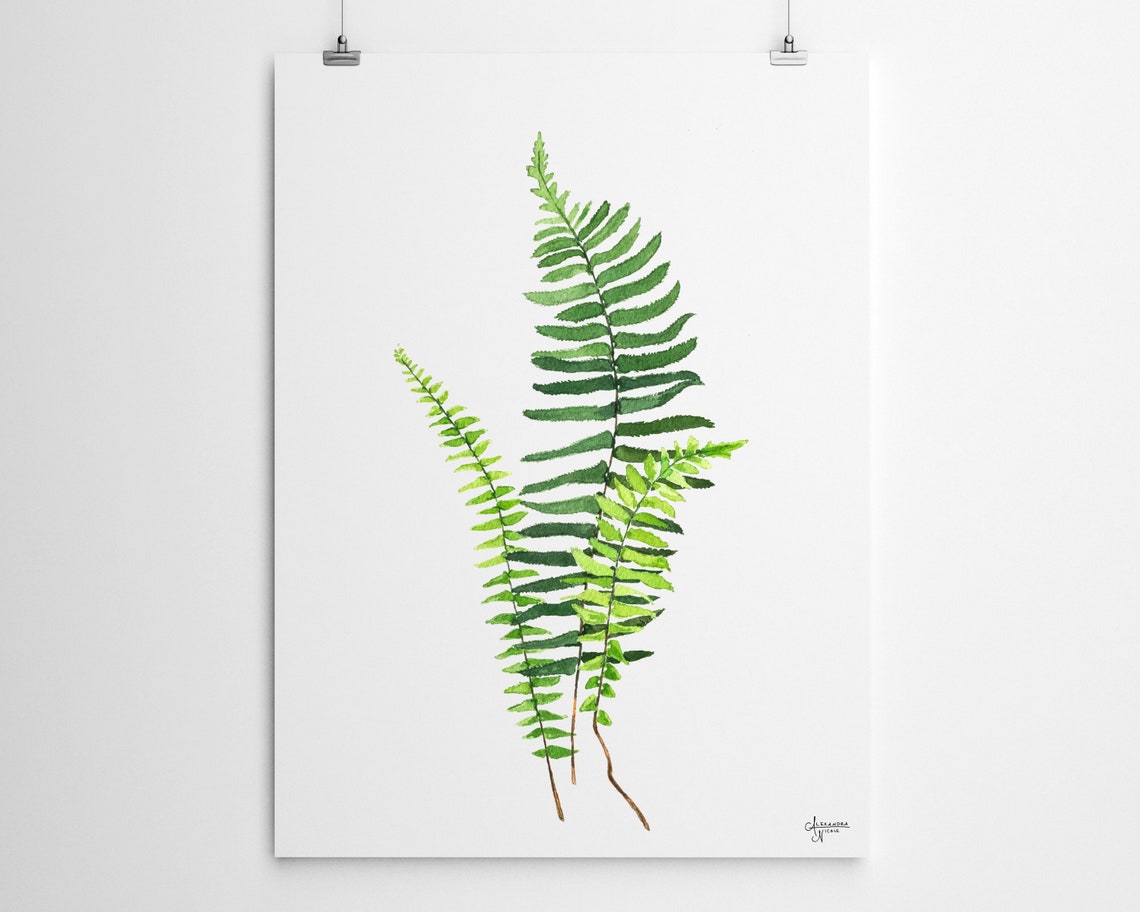 Watercolor Fern Print Fern Painting Botanical Art Plant | Etsy