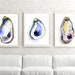 Watercolor Oyster Shell Trio Print Set in Purple, Gallery Wall Set - Etsy