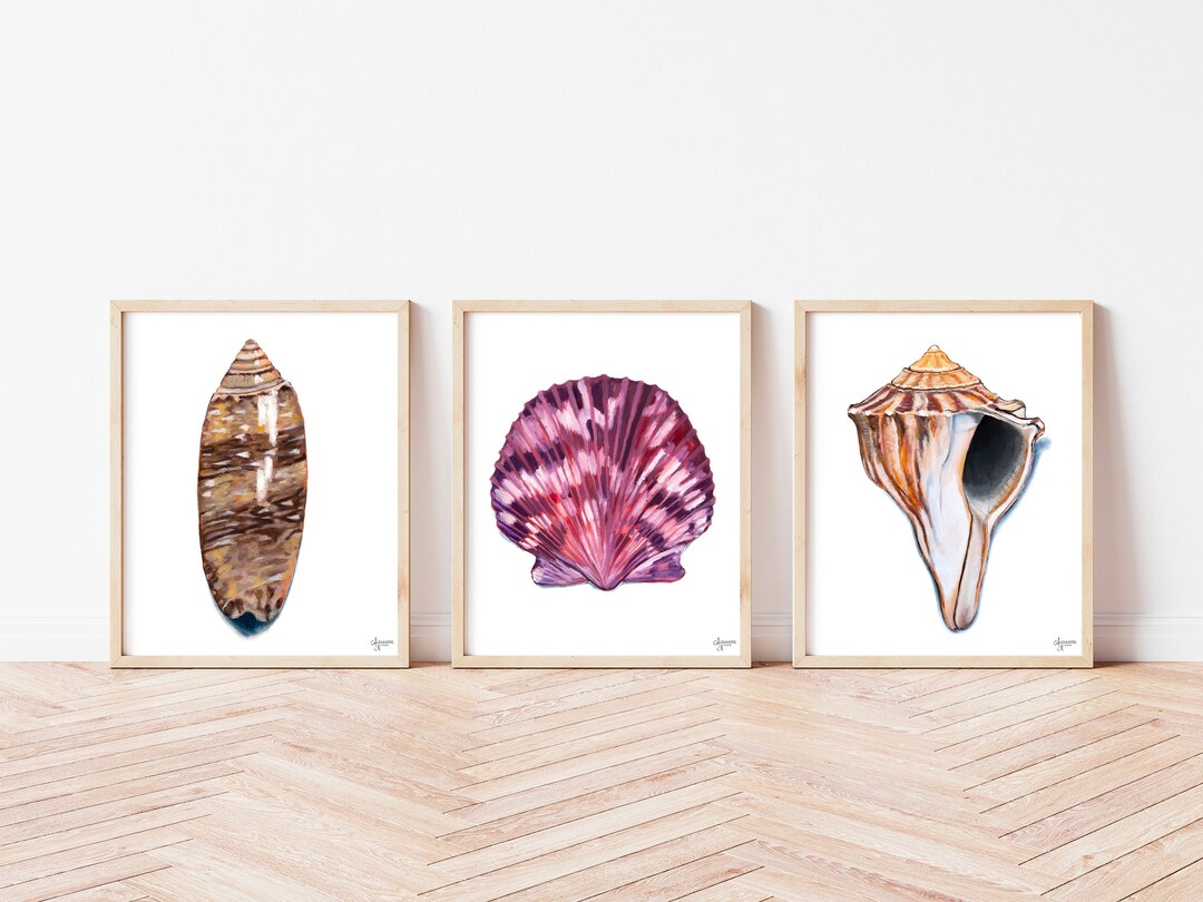 Seashell Art Print Set: Coastal Gallery Wall Decor - Etsy
