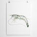 Shrimp Print, Shrimp Watercolor, Shrimp Art - Etsy