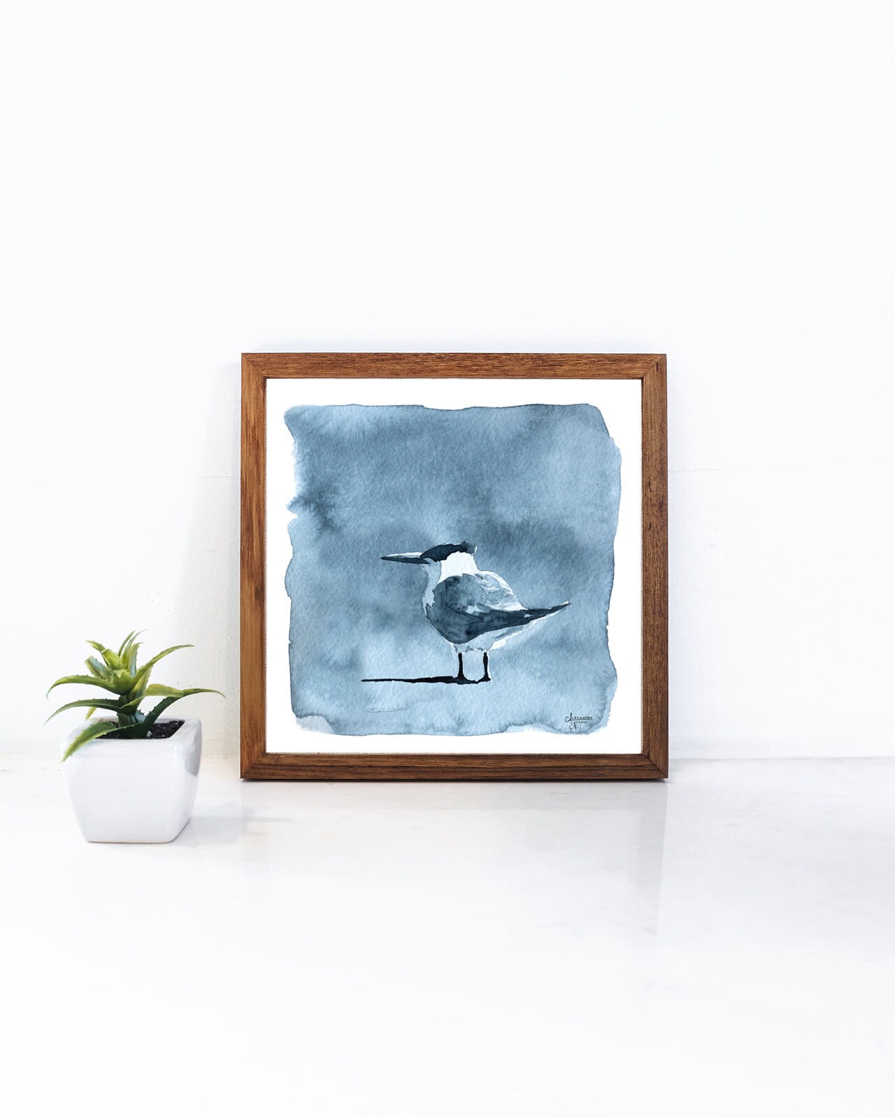 Shore bird Painting Shore Bird Print Royal Tern Painting | Etsy