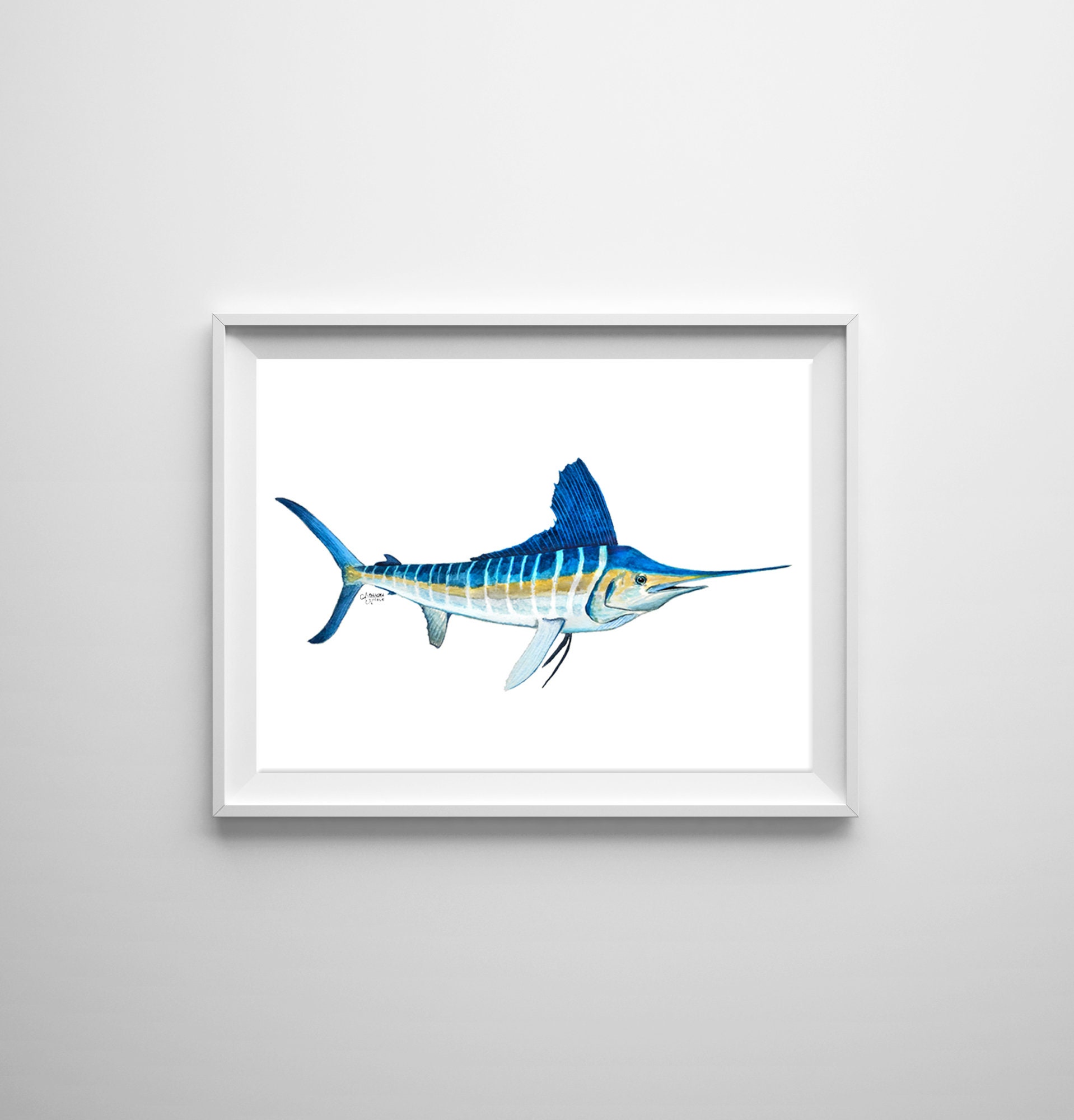 Marlin Wall Art White Marlin Watercolor Art Print Fish | Etsy