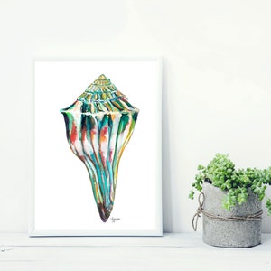 Knobbed Whelk Print, Whelk Shell, Conch Shell Print, Sea Shell Painting ...