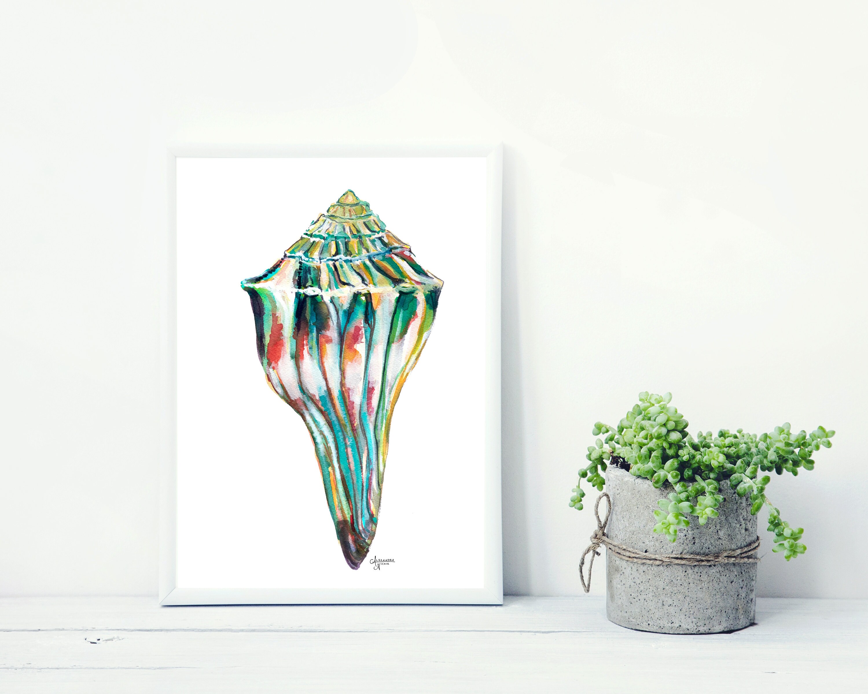 Knobbed Whelk Print Whelk Shell Conch Shell Print Sea Shell | Etsy