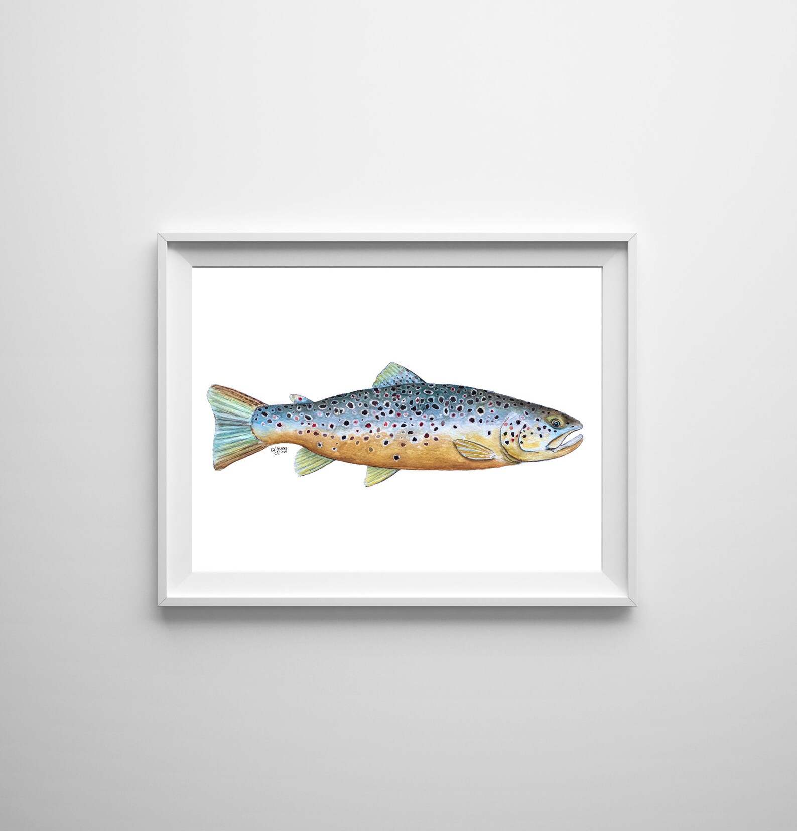 Brown Trout Trout Watercolor Art Print Trout Art Fisherman | Etsy
