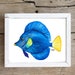 Purple Tang, Tropical Fish Print, Coral Reef Art, Fish Print, Tropical ...
