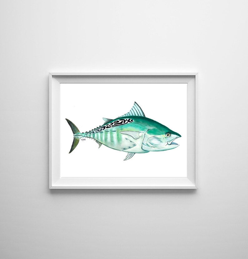 Bonita Watercolor Art Print Fish Wall Decor Fish Print | Etsy