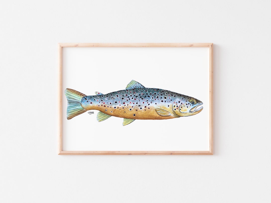Brown Trout, Trout Watercolor Art Print, Trout Art, Fisherman Gift, Dad ...
