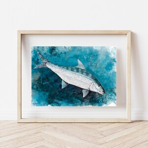 Bonefish Art, Fly Fishing Art, Fish Art, Fish Prints, Saltwater Fish ...