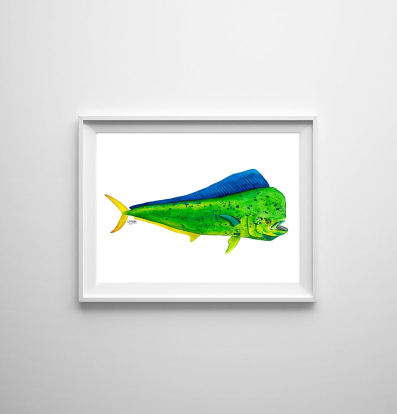 Mahi Mahi Watercolor Art Print Fish Decor Coastal Art Fish - Etsy