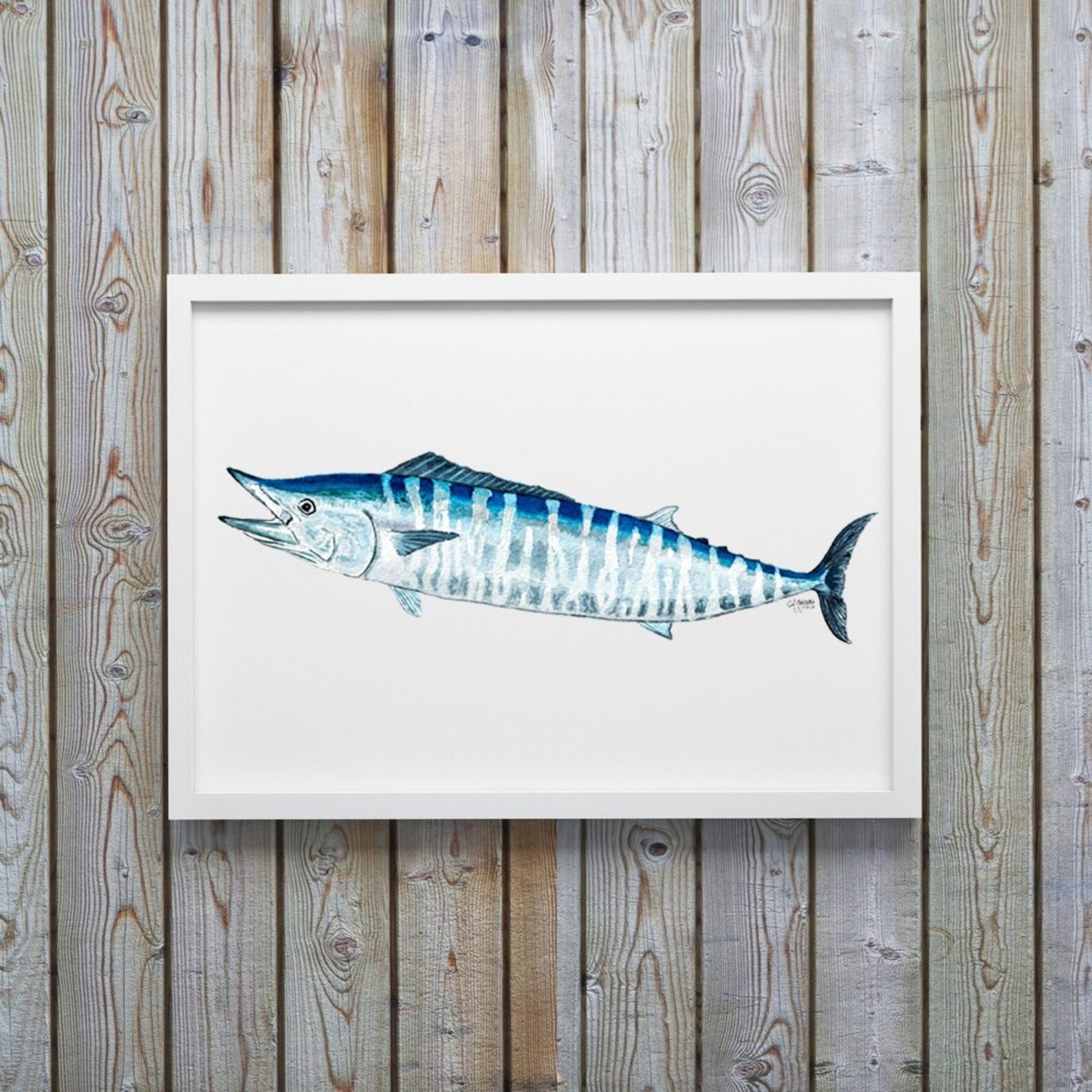 Wahoo Watercolor Art Print Fish Wall Decor Fish Print - Etsy