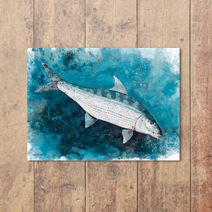 Bonefish Art, Fly Fishing Art, Fish Art, Fish Prints, Saltwater Fish ...