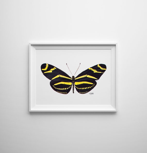 Zebra Longwing Butterfly Drawing