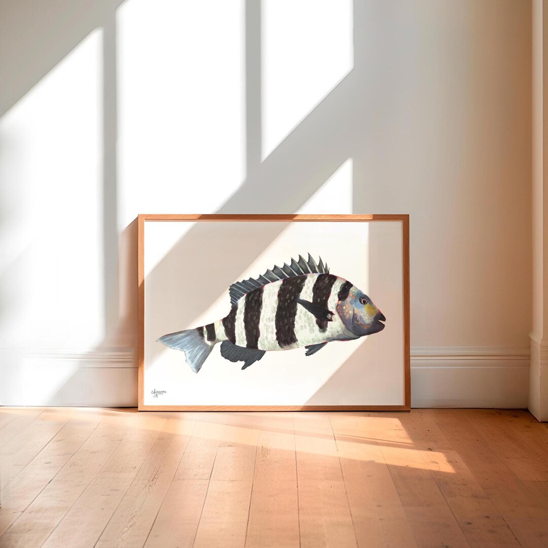 Sheepshead Fish, Fish Art, Coastal Artwork, Fisherman Gift, Gifts for ...
