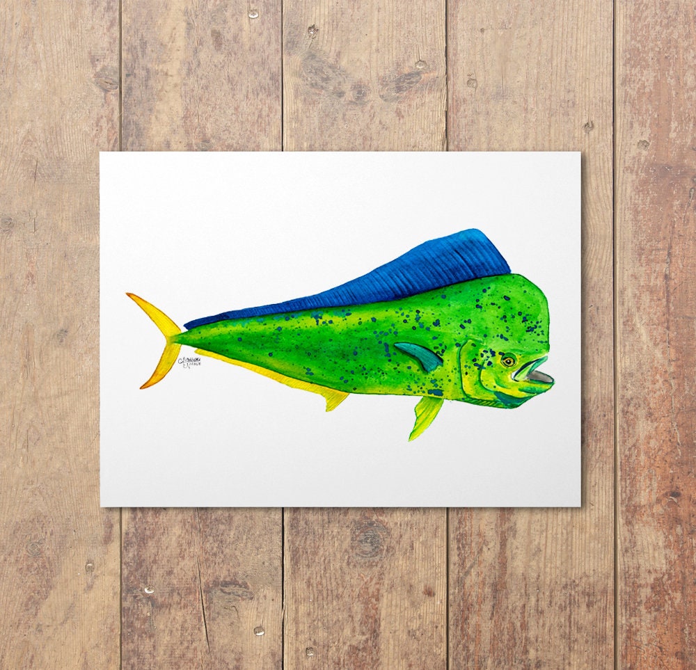 Mahi Mahi Watercolor Art Print Fish Decor Coastal Art Fish | Etsy