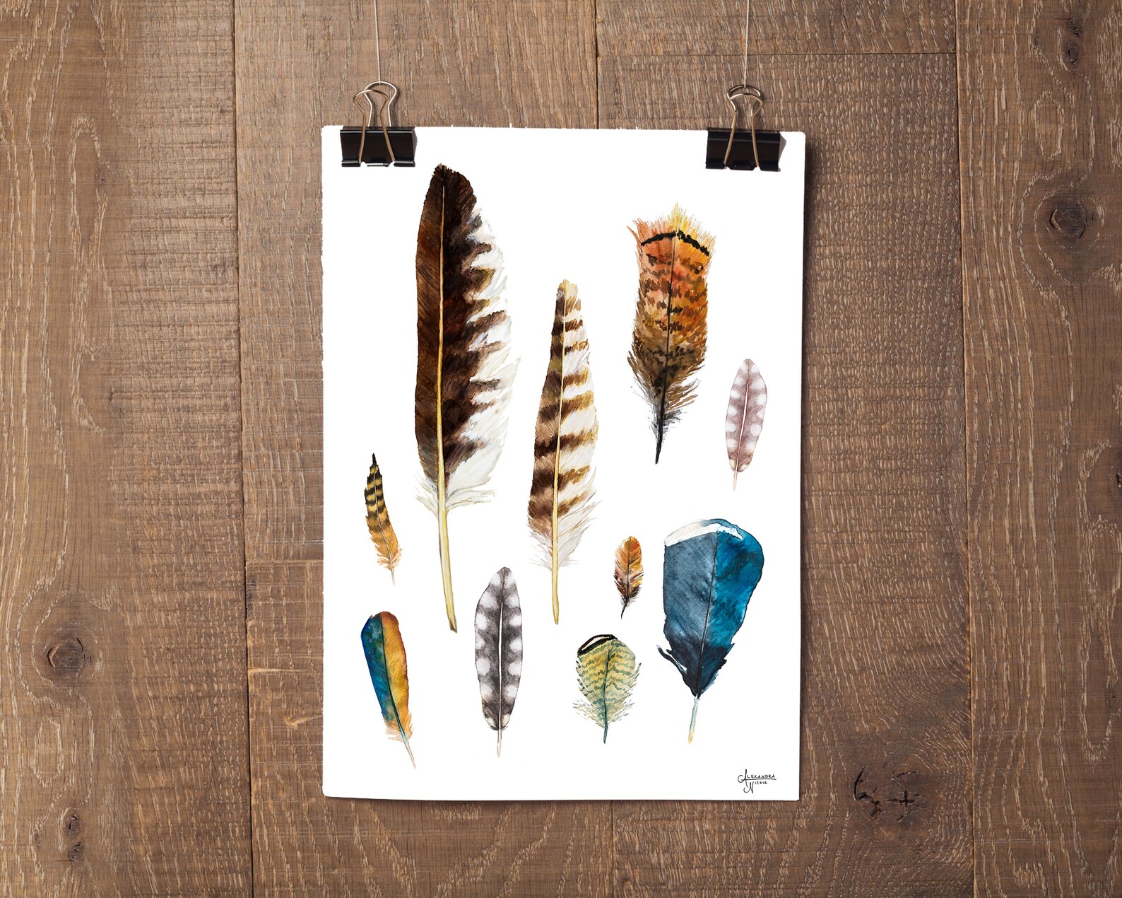 Watercolor Feather Art Feather Painting Living Room Wall | Etsy
