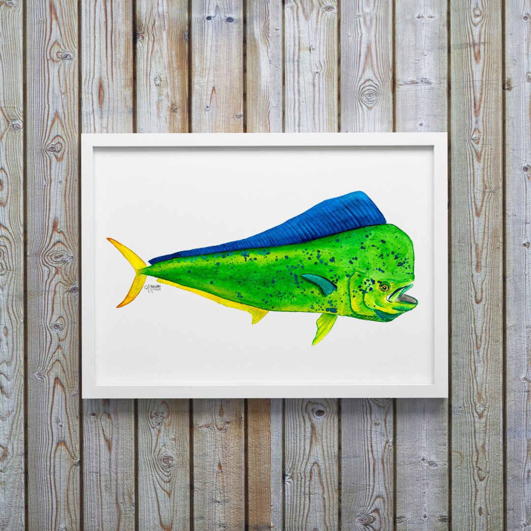 Mahi Mahi Watercolor Art Print: Coastal Fish Decor - Etsy