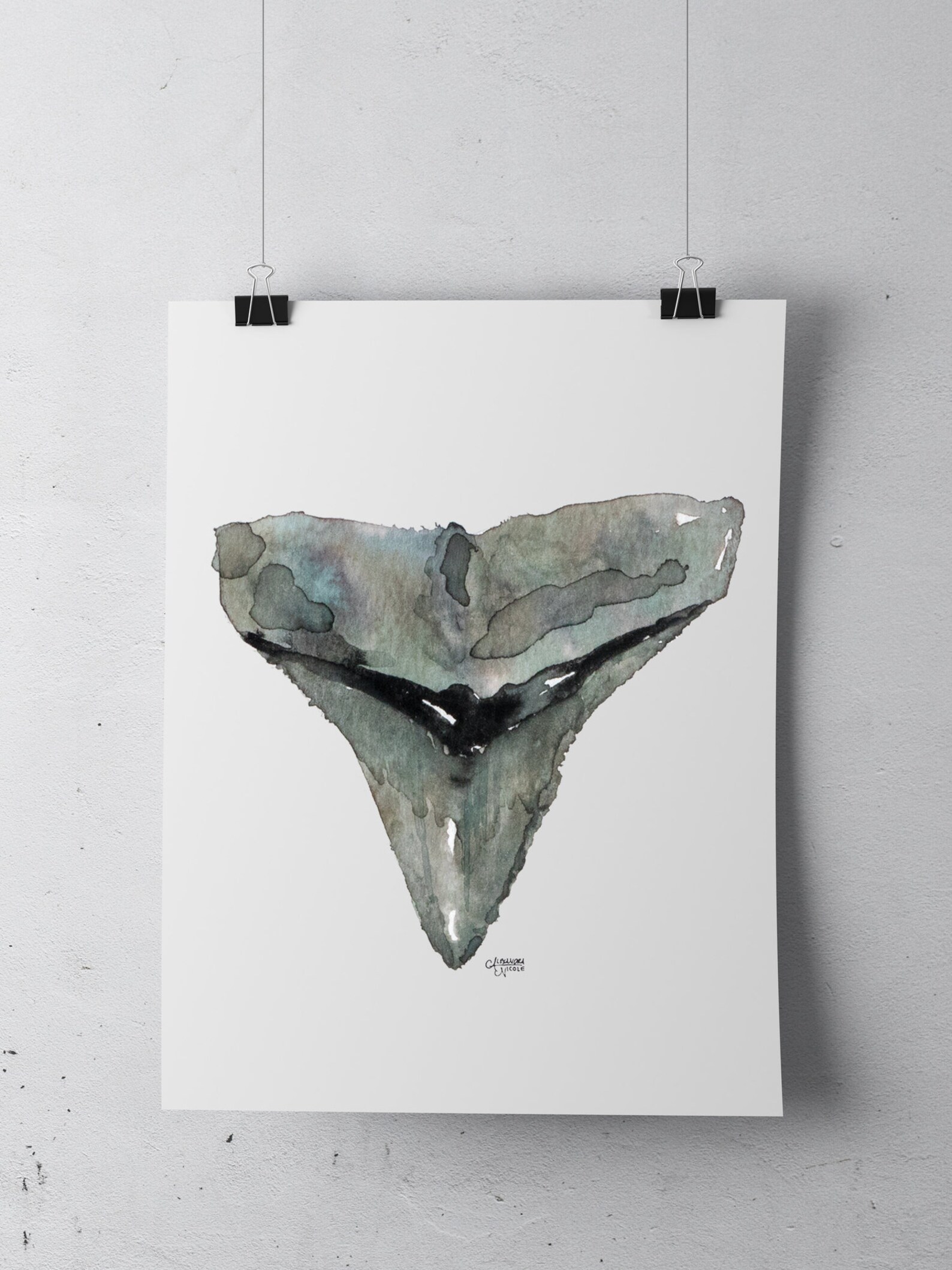 Bull Shark Tooth Watercolor Art Print, No. 6, Minimalist Beach Decor - Etsy