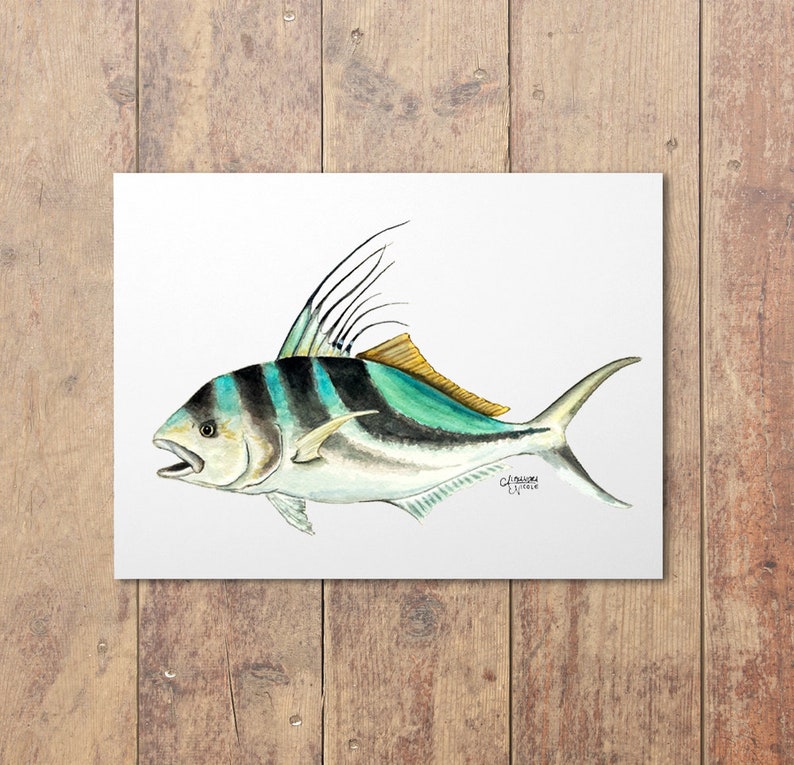 Rooster Fish Watercolor Art Print Fish Wall Decor Fish - Etsy