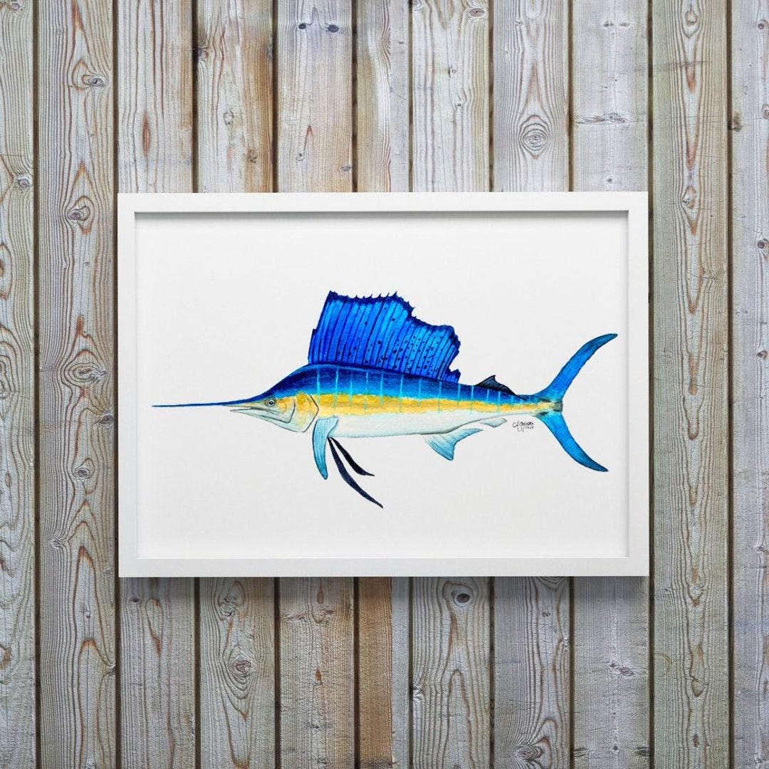 Sailfish Watercolor Art Print: Coastal Fish Wall Decor - Etsy