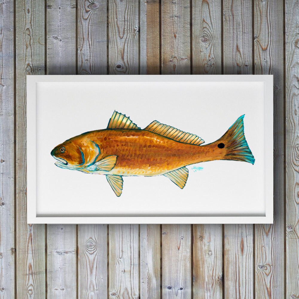 Redfish Art Gallery 2022
