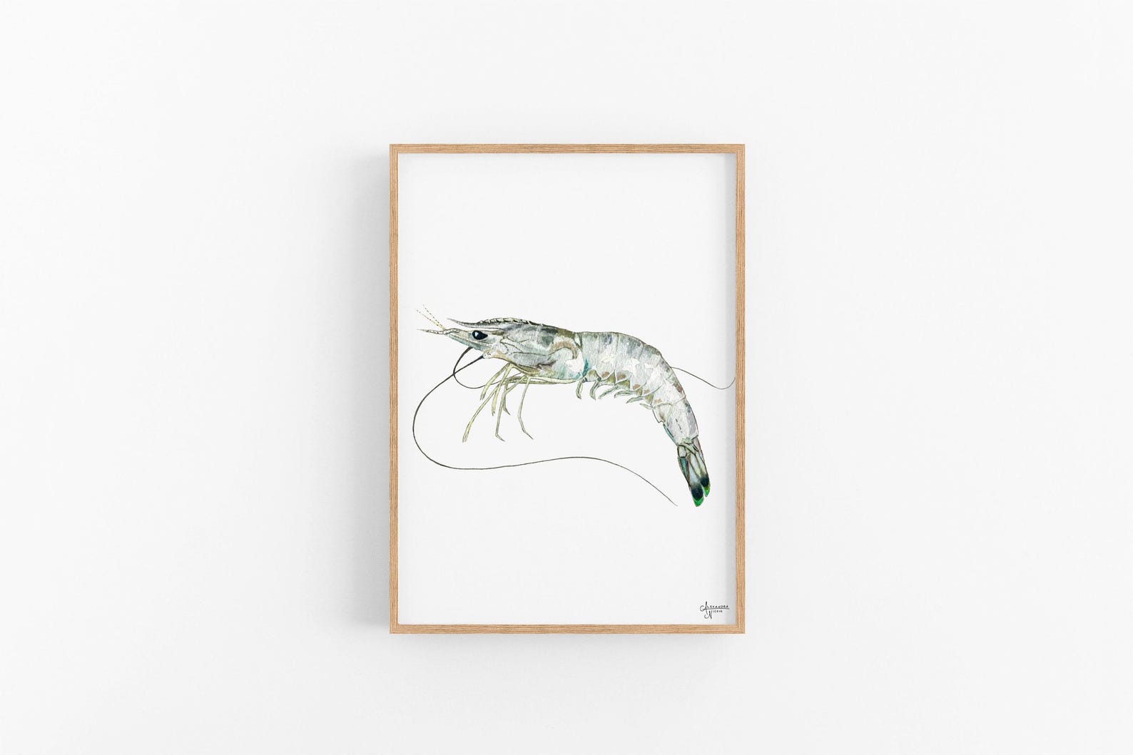 Coastal Art Print Set: Crab and Shrimp Watercolor Prints - Etsy