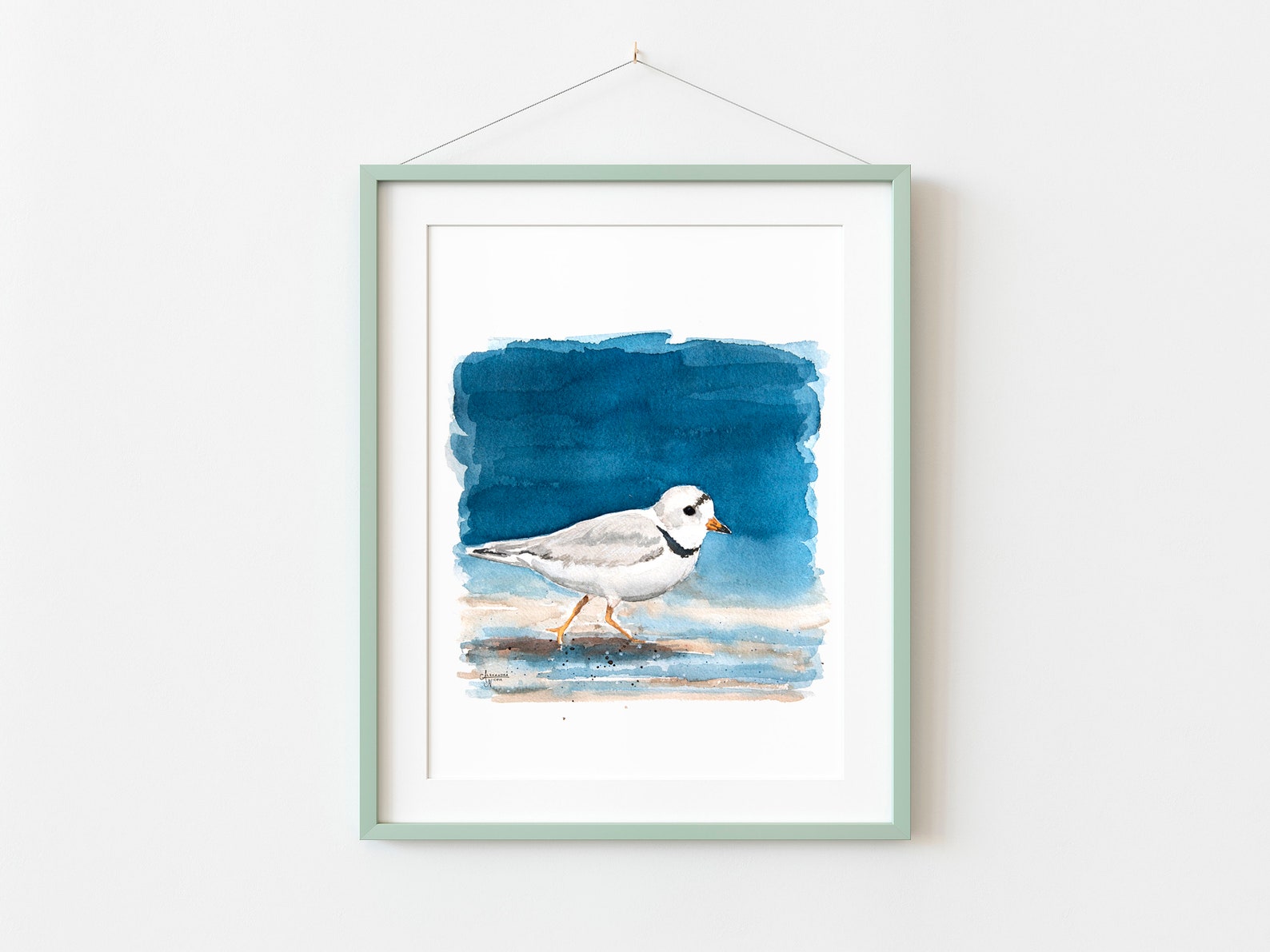 Piping Plover Plover Painting Shore Bird Art Coastal Bird - Etsy