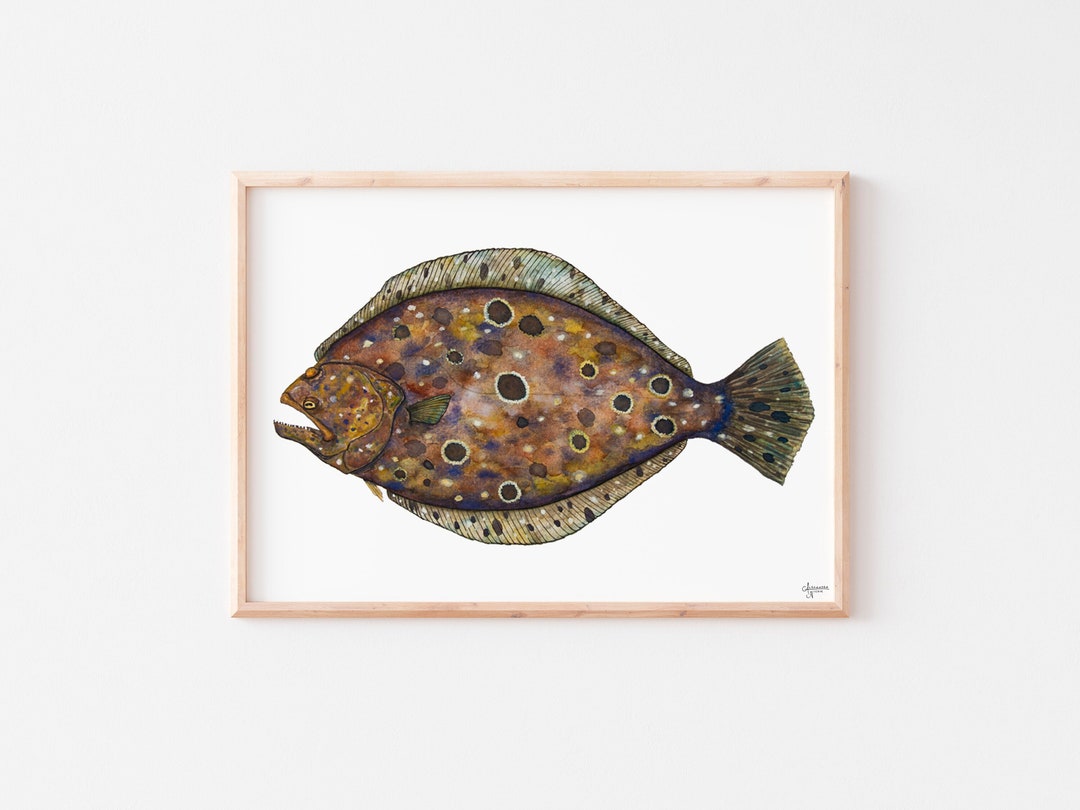 Flounder Art, Flounder Painting, Watercolor Fish Art - Etsy