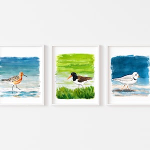 Coastal Bird Art, Shorebird Art Print Set, Print Set of 3, Gallery Wall ...