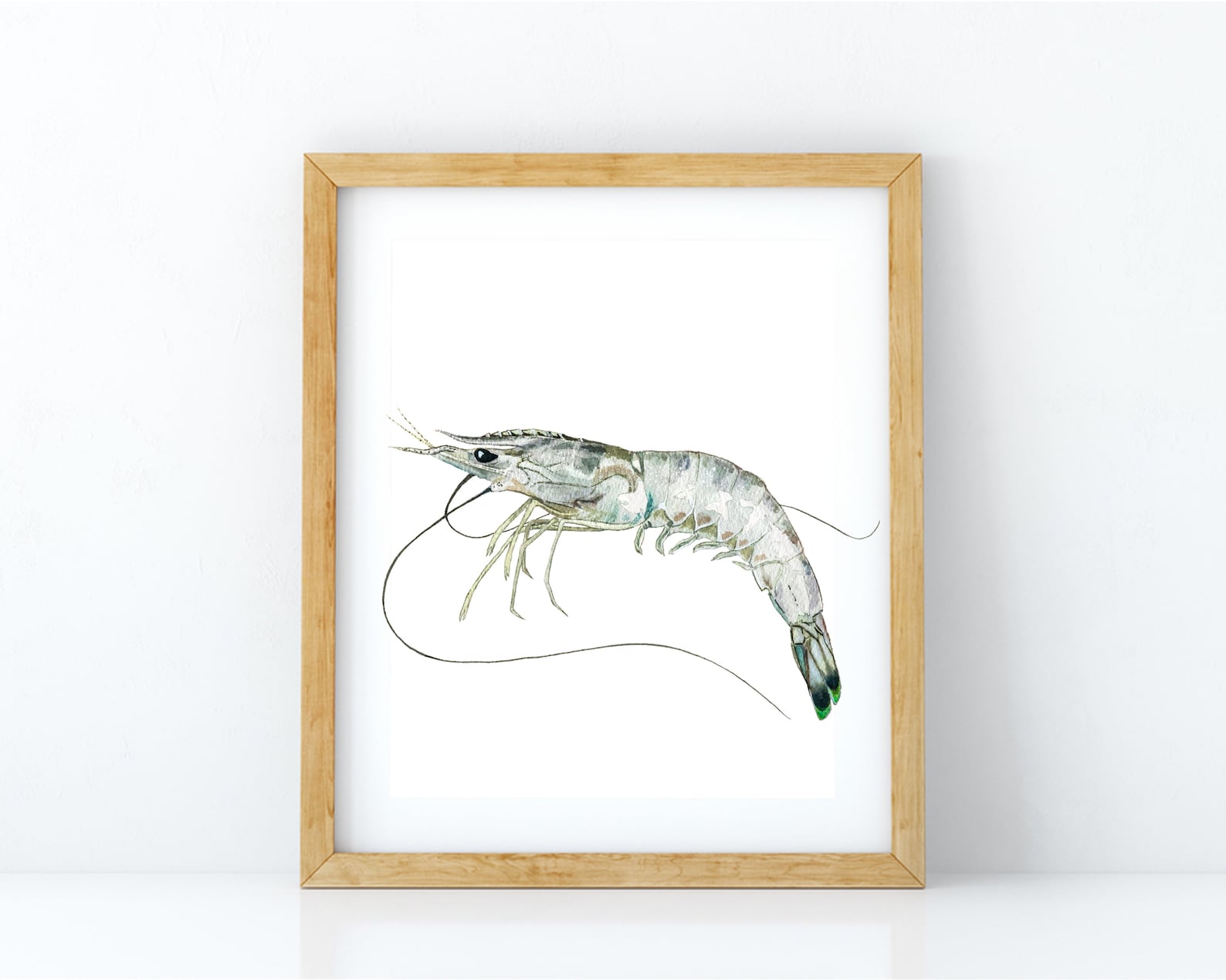 Shrimp Print Shrimp Watercolor Shrimp Art - Etsy