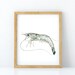 Shrimp Print, Shrimp Watercolor, Shrimp Art - Etsy