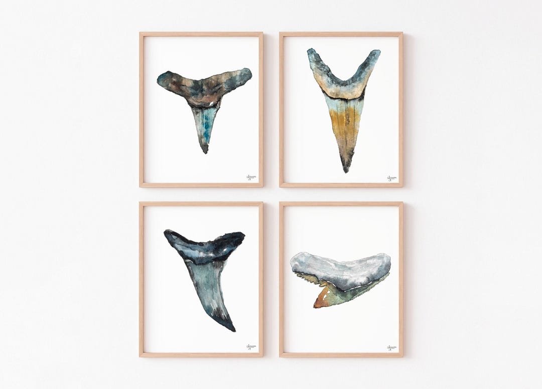 Shark Tooth Print Set, Shark Teeth Painting, Coastal Print Set of 4 - Etsy