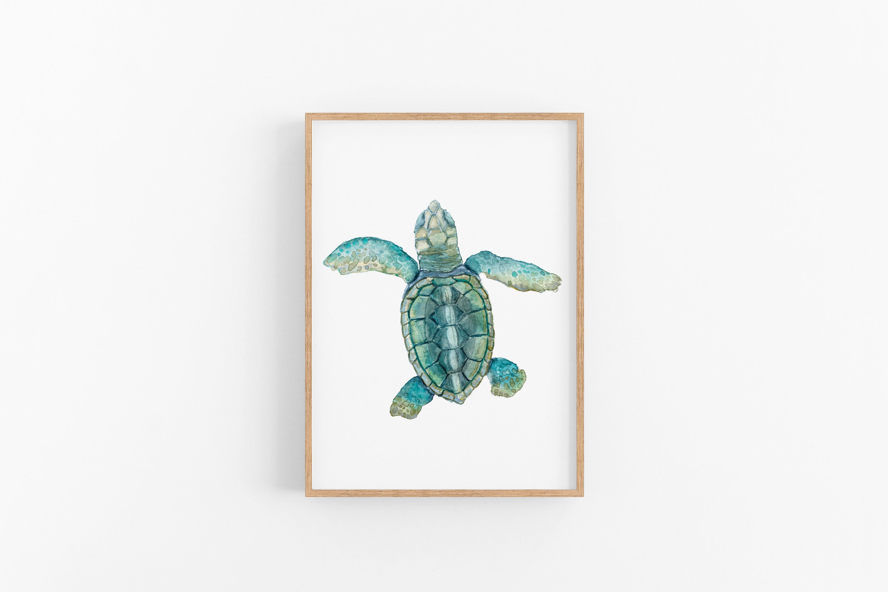 Loggerhead Sea Turtle Drawing