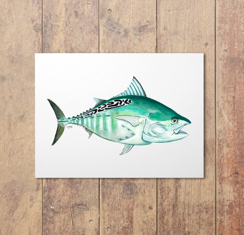 Bonita Watercolor Art Print Fish Wall Decor Fish Print | Etsy
