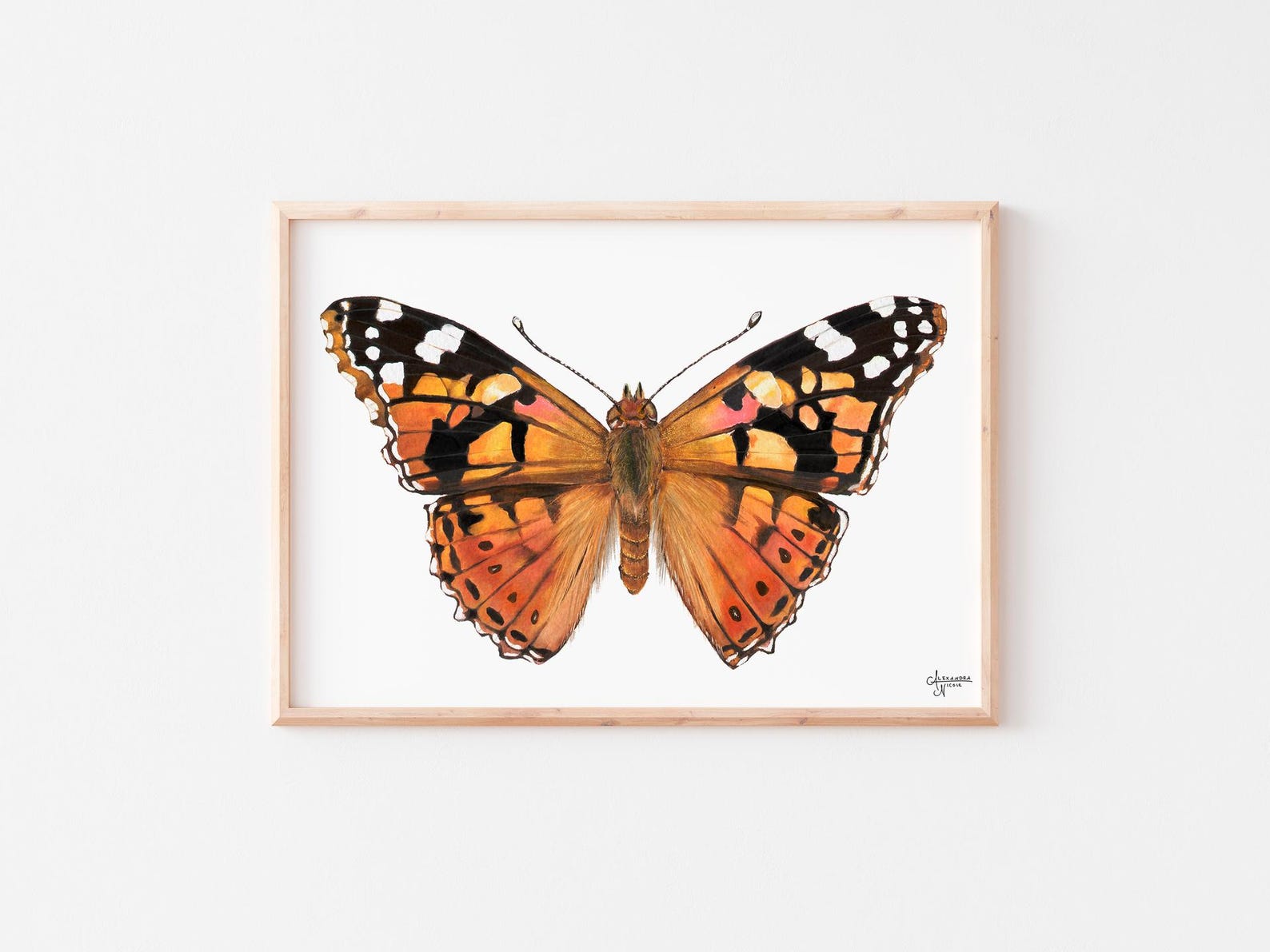 Painted Lady Butterfly Illustration - Minimalistic Nature Wall Decor - Etsy