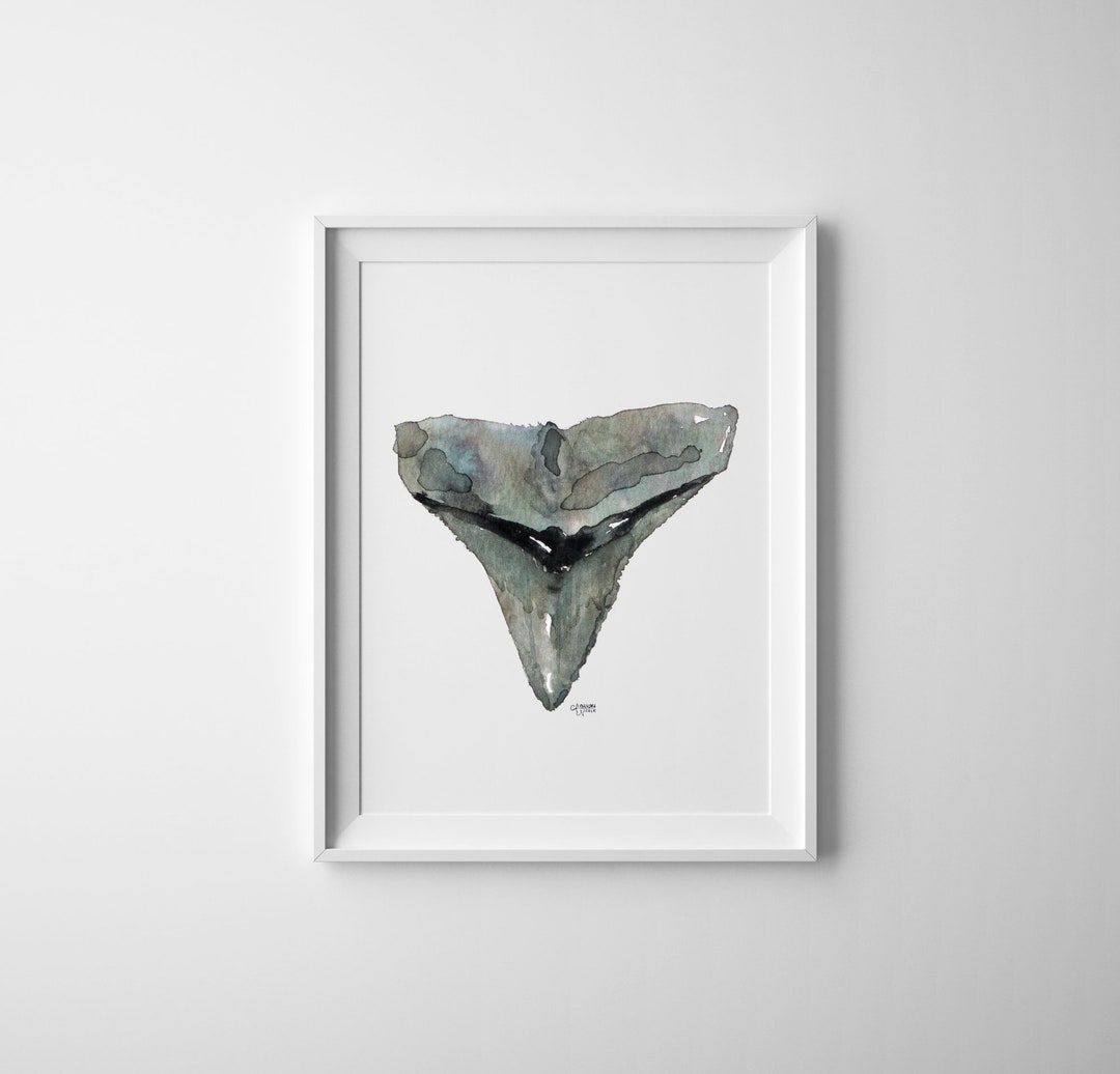 Bull Shark Tooth Watercolor Art Print, No. 6, Minimalist Beach Decor - Etsy