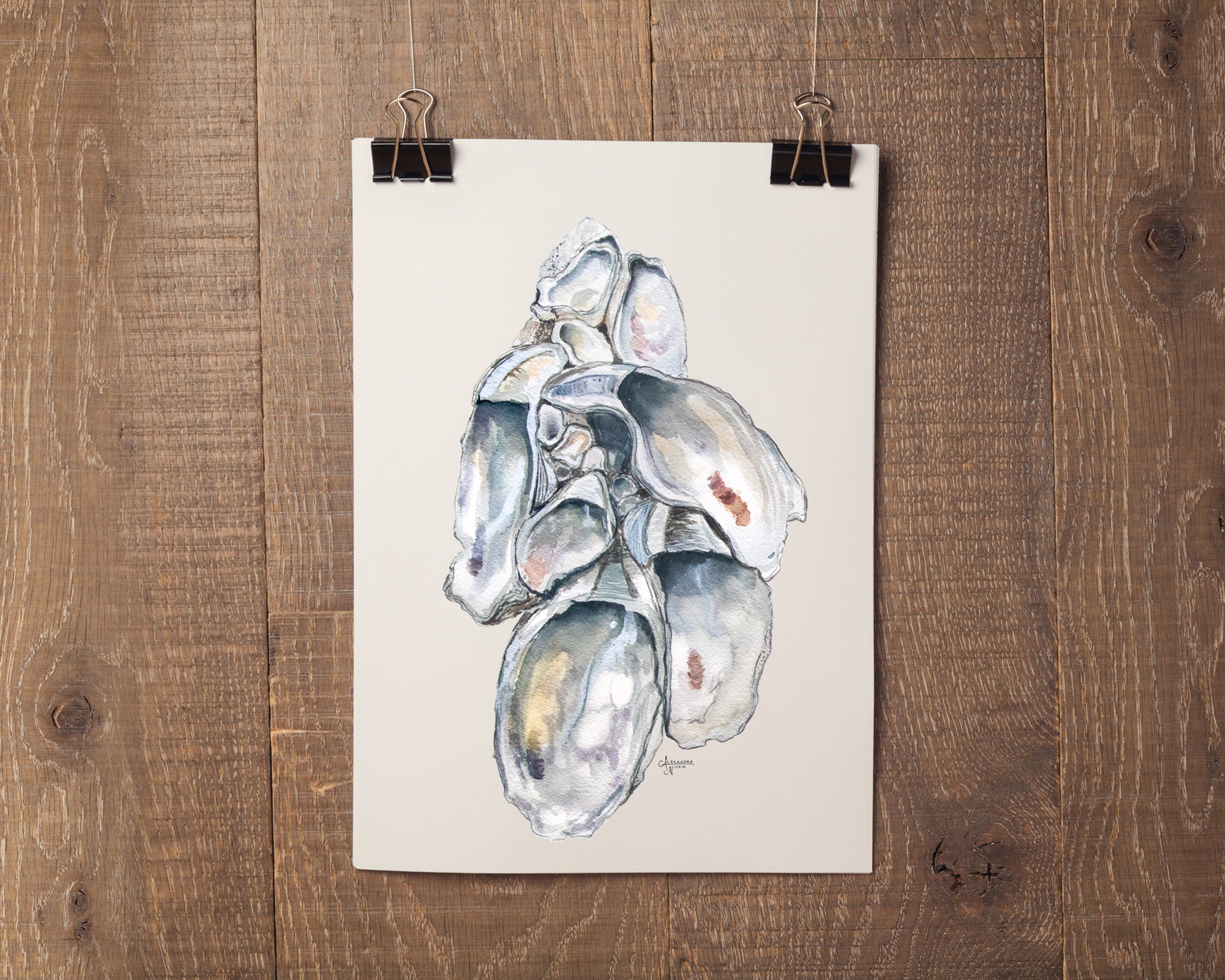 Oyster Cluster Watercolor Print Shell Print Oyster Shell | Etsy