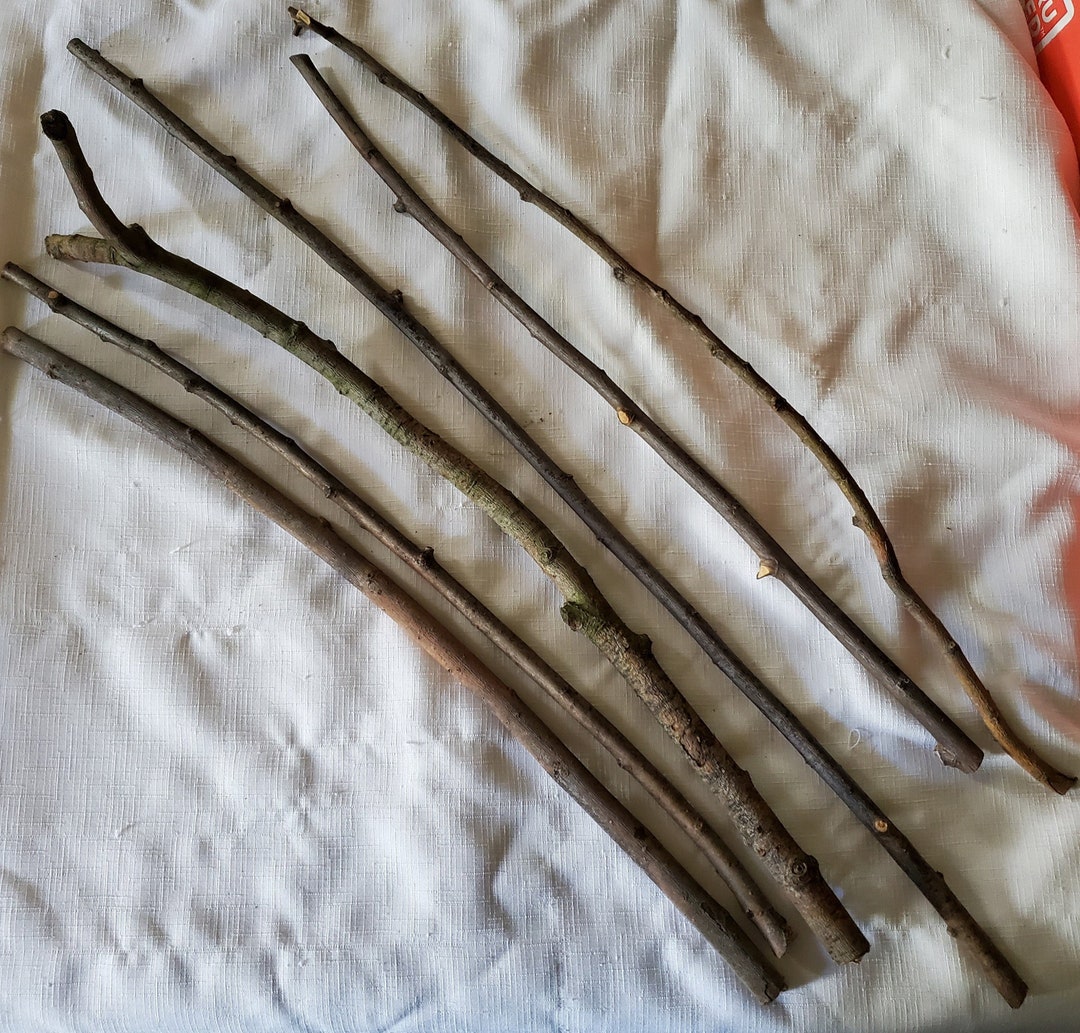 Weeping Willow Sticks Twigs Lot #38- 3/8"-5/8" Thick -6 Pieces 21"-28 ...